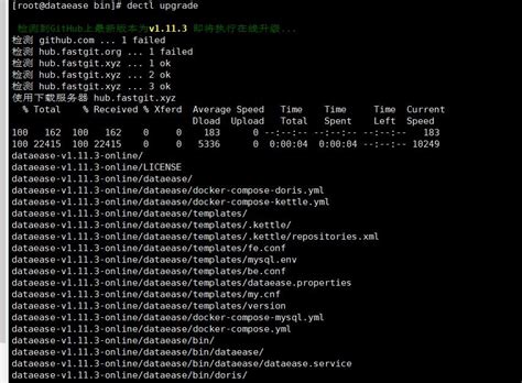 【常见问题】dataease 在线更新失败问题解决 Fit2cloud 知识库