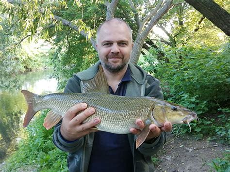 Mosrz To Galéria úlovkov