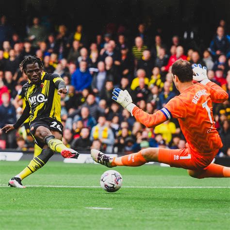 Dele Bashiru Inspires Big Watford Win On Opening Day Score Nigeria