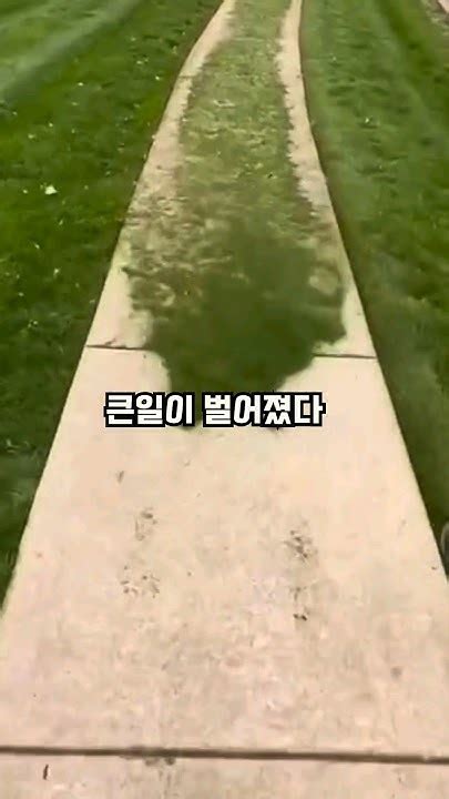 누나의 과거 Youtube