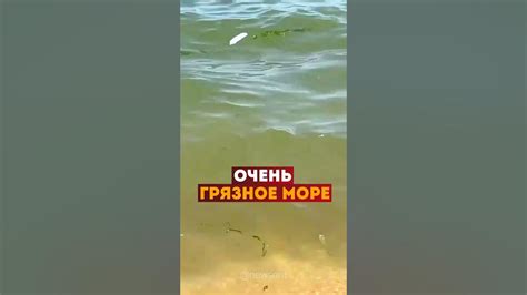 Грязное море Youtube