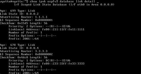 A Look At The New Lsa Types In Ospfv3 With Vyatta And Cisco