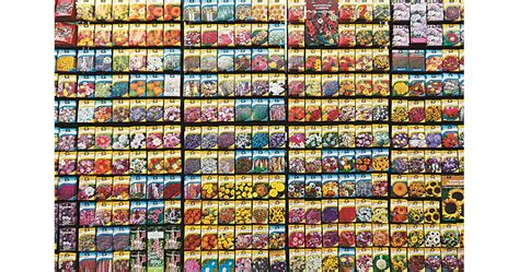 10 любими цветя които се сеят сега Български Фермер