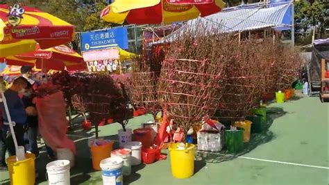 2021維多利亞公園年宵市場直擊 104927 Youtube