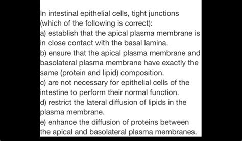 In Intestinal Epithelial Cells Tight Junctions Which Of The Following