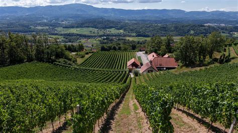 Vinska Klet Colnar Selectbox