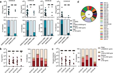 Characterization Of Sars Cov 2 Natural Infection Induced Rbd Specific