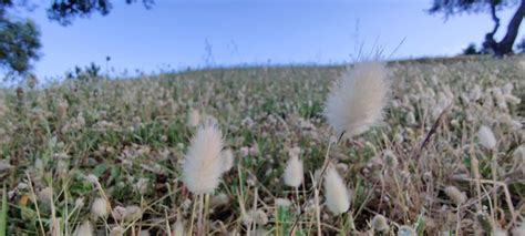 Paulomorgadonet On Linkedin Measuring Net Performance Unleashing