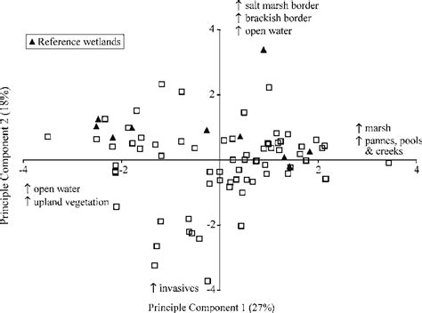 Scatter Plot Of The First And Second Principal Component Scores For The