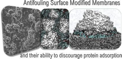 Carbohydrate Polymers X Mol