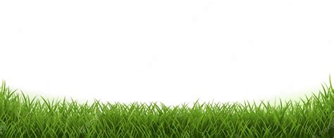 Premium Vector Green Grass Frame Isolsted White Background