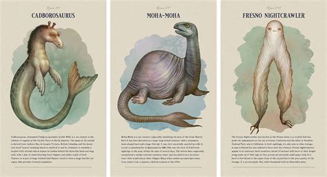 The Explorers Guide To Cryptid Animals Of The World Behance