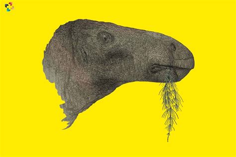 Comptonatus Chasei Identified New Dinosaur Species Unearthed In