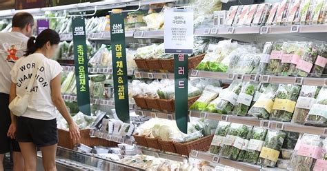 추석 성수품 물가 과일 비싸고 채소 저렴