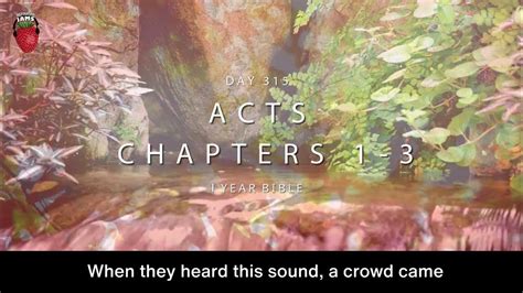 One Year Bible Day 315 Acts Chapters 1 3 Niv Audio Bible Youtube