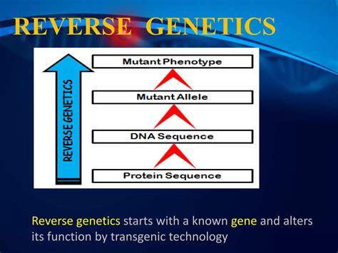 Forward And Reverse Genetics Pptx Genetics Science