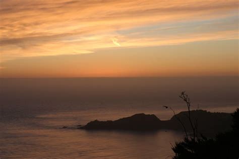 Branda Allys Eye Photography