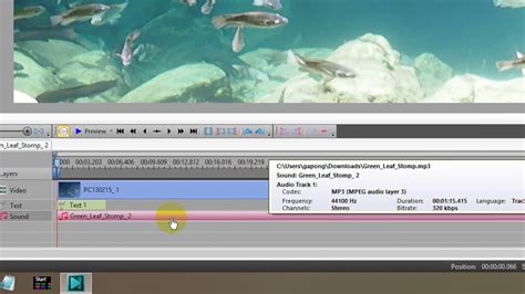 Vsdc Text And Sound Youtube