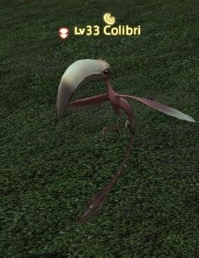 Colibri Gamer Escapes Final Fantasy Xiv Ffxiv Ff14 Wiki