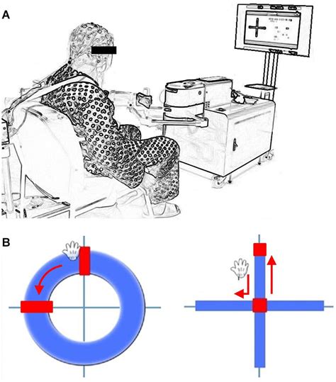 Frontiers Dual Task Effects On Speed And Accuracy During Cognitive