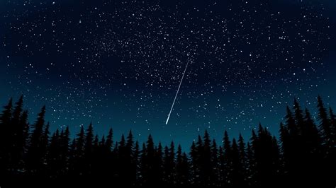 Paysage De Nuit étoilée En Forêt Illustration De Paysage De Vecteur 15974067 Art Vectoriel Chez