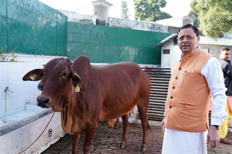 गोवर्धन पूजा के अवसर पर सीएम धामी ने की गायों की पूजा प्रदेशवासियों को