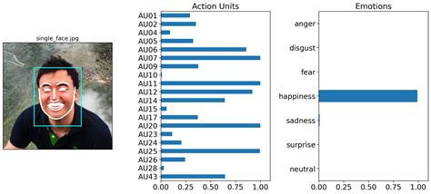 Detecting Facial Expressions From Images Py Feat