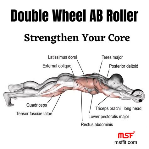 Double Wheel Ab Roller — Msffit