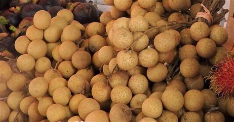 【インドネシア果物】食べ始めたら止まらない！ランサ！どんな果物⁉｜kenhappy