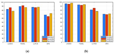 Classification Performance Using Ml Relm Classifier On Whole Brain