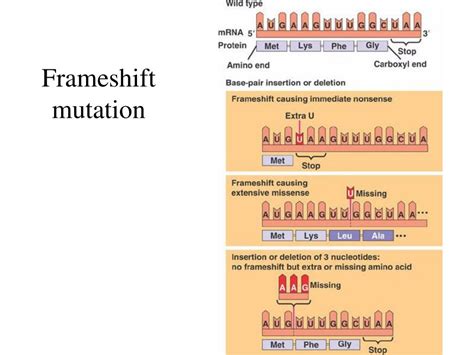 PPT Mutations PowerPoint Presentation Free Download ID 1466319