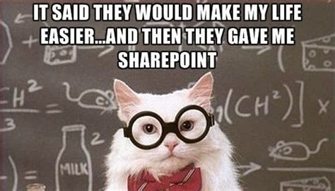 Titanworkspace Sharepoint Microsoft365 Titan Workspace