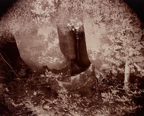 Rock Storage James Knipe Mia