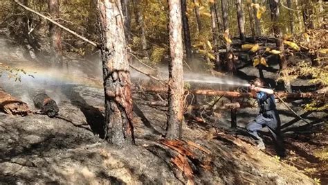 Гора пламна край Хисаря пожарни и доброволци го изгасиха Информационна агенция ПИК