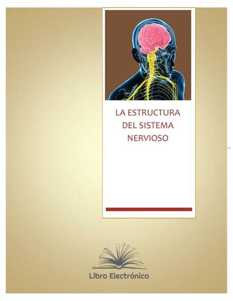 La Estructura Del Sistema Nervioso Pp Udocz