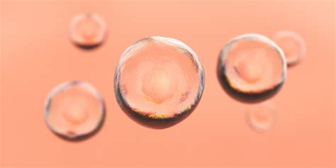 Scientists Create Human Embryo With A Heartbeat Without Using Sperm Or