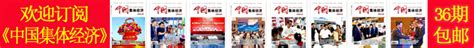 中国集体经济网（中国集体经济杂志社官网） 财政部印发《农村集体经济组织会计制度》 财经金融