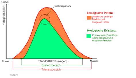 Toleranzkurven