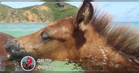 Garmy Garmy のまとめ Posfie