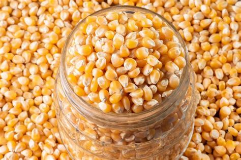 Yellow Raw Maize High In Protein At Rs 24 Kg In Motihari Id 26612087962