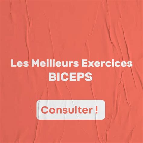 Musculation Biceps Les Meilleurs Exercices Philosofit