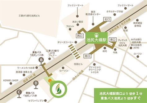 池尻大橋駅徒歩1分のかまやち内科クリニック｜糖尿病内科・高血圧・甲状腺外来首のしこり良性・悪性の見分け方 池尻大橋駅徒歩1分のかまやち内科