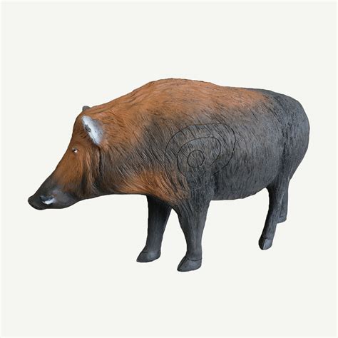 Leitold Starker Keiler Bogensport Und Bogensportzubehör