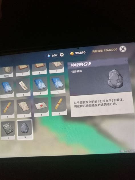 萌新提问 兄弟们，这个石块是要放哪里去的 Nga玩家社区