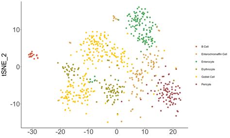 Scrna Seq Colon Transverse