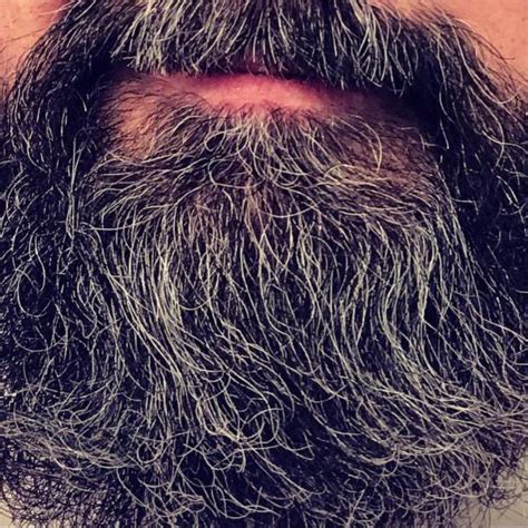 Beard Mcbeard