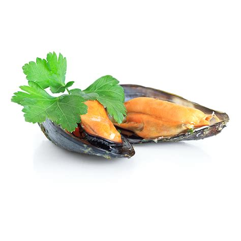 Moules Au Curry Recette De Moules Au Curry