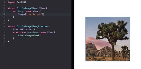 SwiftUI Image View 사용해보기 eunjoo