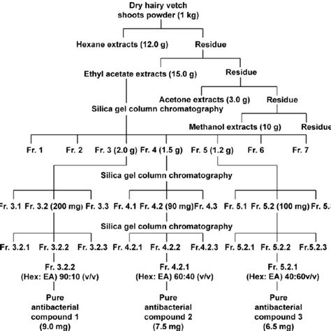 Flow Chart For The Isolation Of Bioactive Compounds From Ethyl Acetate