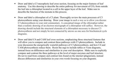 Draw And Label A C3 Mesophytic Leaf Cross Section